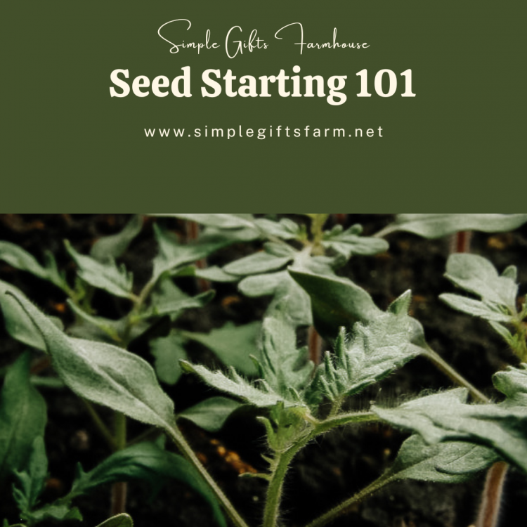 Seed Starting 101 - Simple Gifts Farmhouse