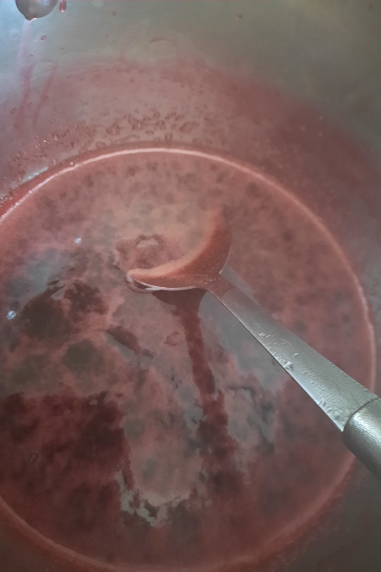 An Easy Serviceberry Jelly Recipe – Simple Gifts Farmhouse