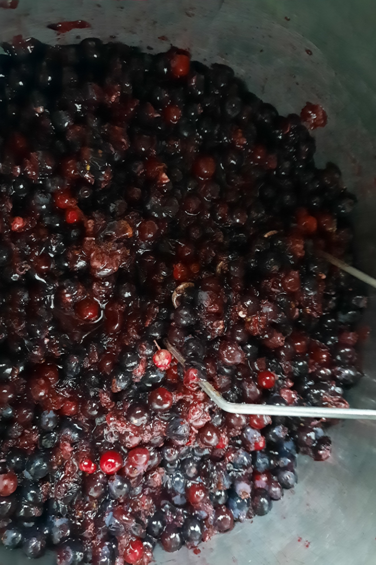 An Easy Serviceberry Jelly Recipe – Simple Gifts Farmhouse