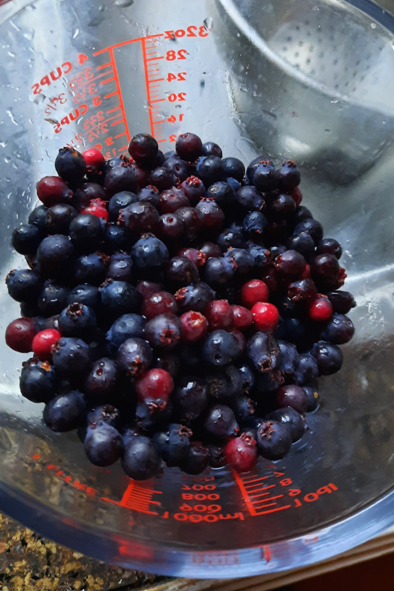 An Easy Serviceberry Jelly Recipe – Simple Gifts Farmhouse