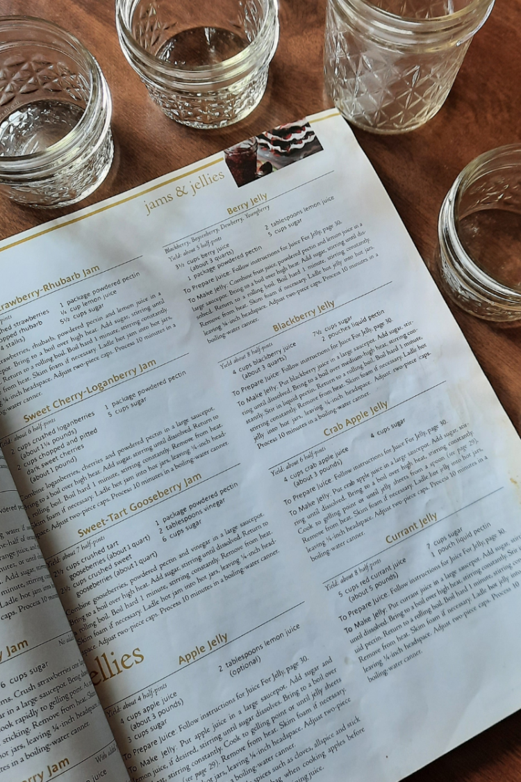 An Easy Serviceberry Jelly Recipe – Simple Gifts Farmhouse