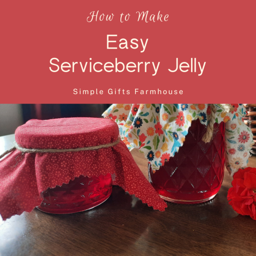 An Easy Serviceberry Jelly Recipe – Simple Gifts Farmhouse