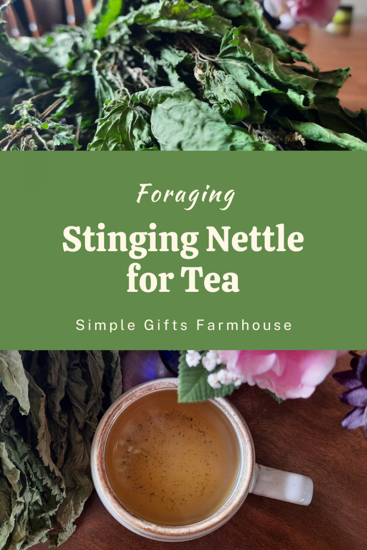 How to Forage For Stinging Nettle and Make Tea – Simple Gifts Farmhouse