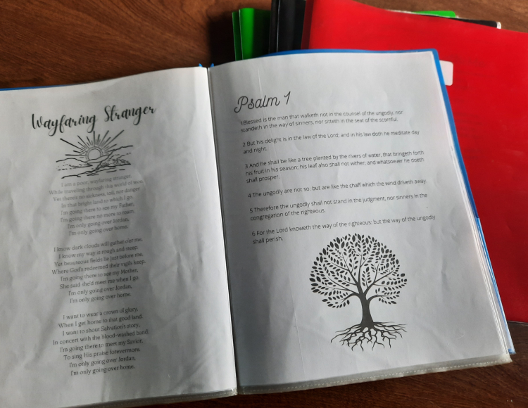 How To: Planning a School Year with Ambleside Online for Multiple Children – Simple Gifts Farmhouse