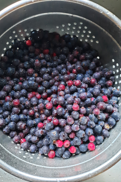 An Easy Serviceberry Jelly Recipe – Simple Gifts Farmhouse